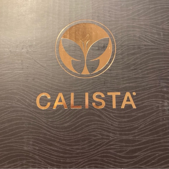 Calista | Hair | Calista Perfecter Pro Plus Heated Round Brush Plus ...